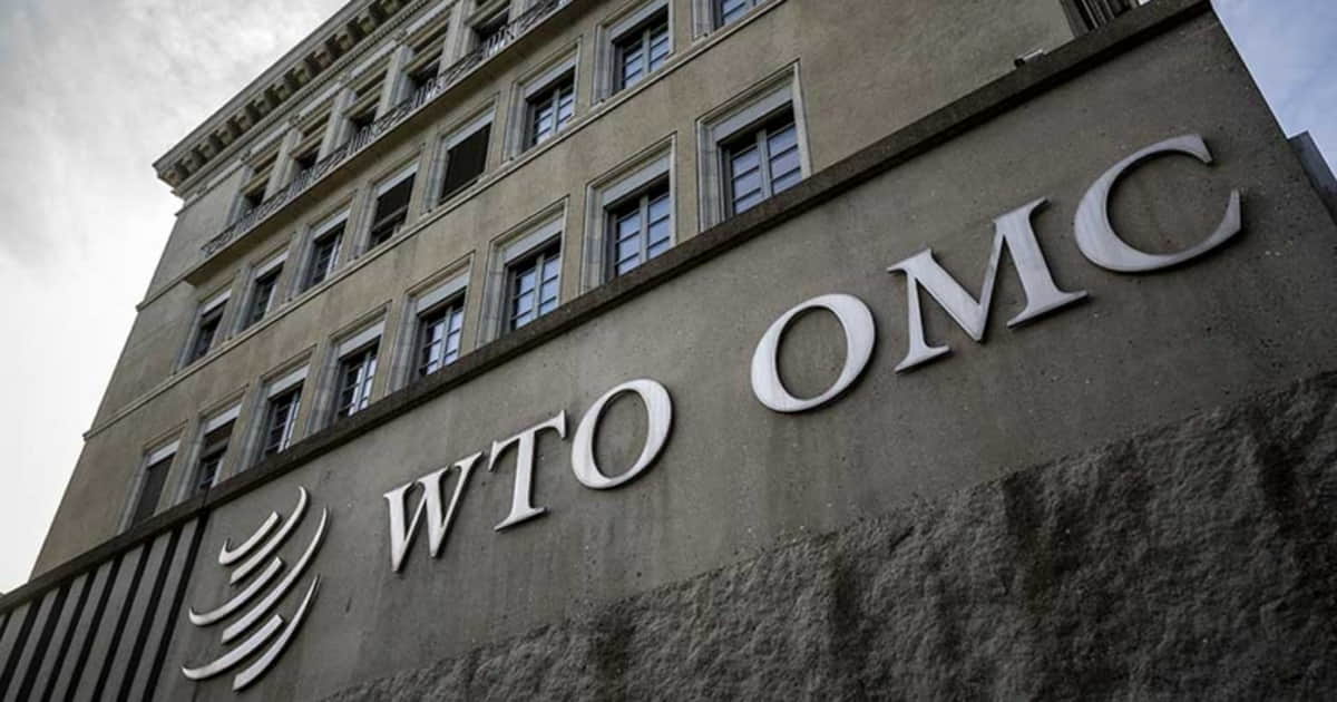 Why the World Trade Organization ''is dying'' and how it's proposed to ...